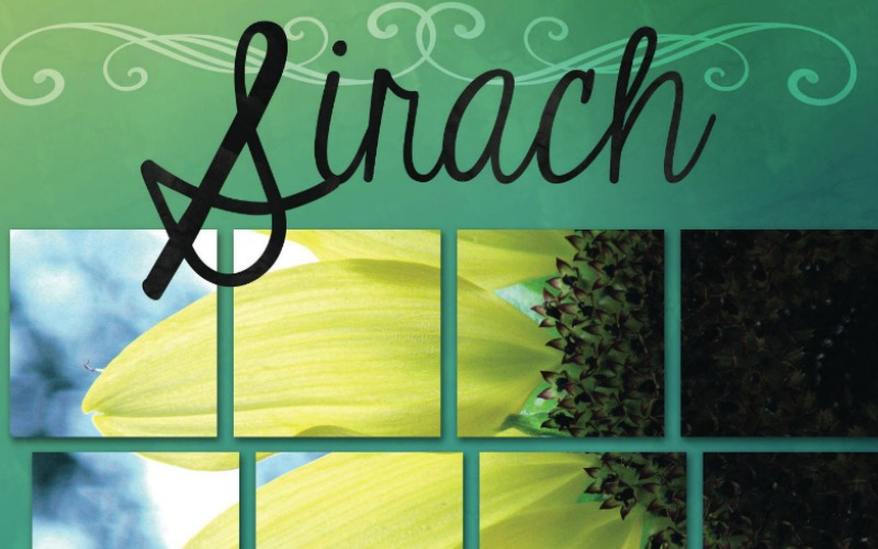 A Hermit Birth or the Story of Sirach Bible Study and Journal • Called ...